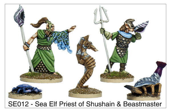 SE012 - Sea Elf Priest of Shushain & Beastmaster – Casting Room Miniatures